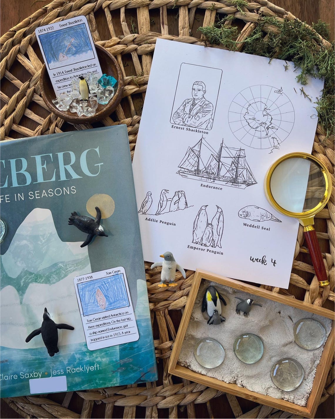 Penguins, Icebergs and Antarctic Explorers Unit Study - Etsy