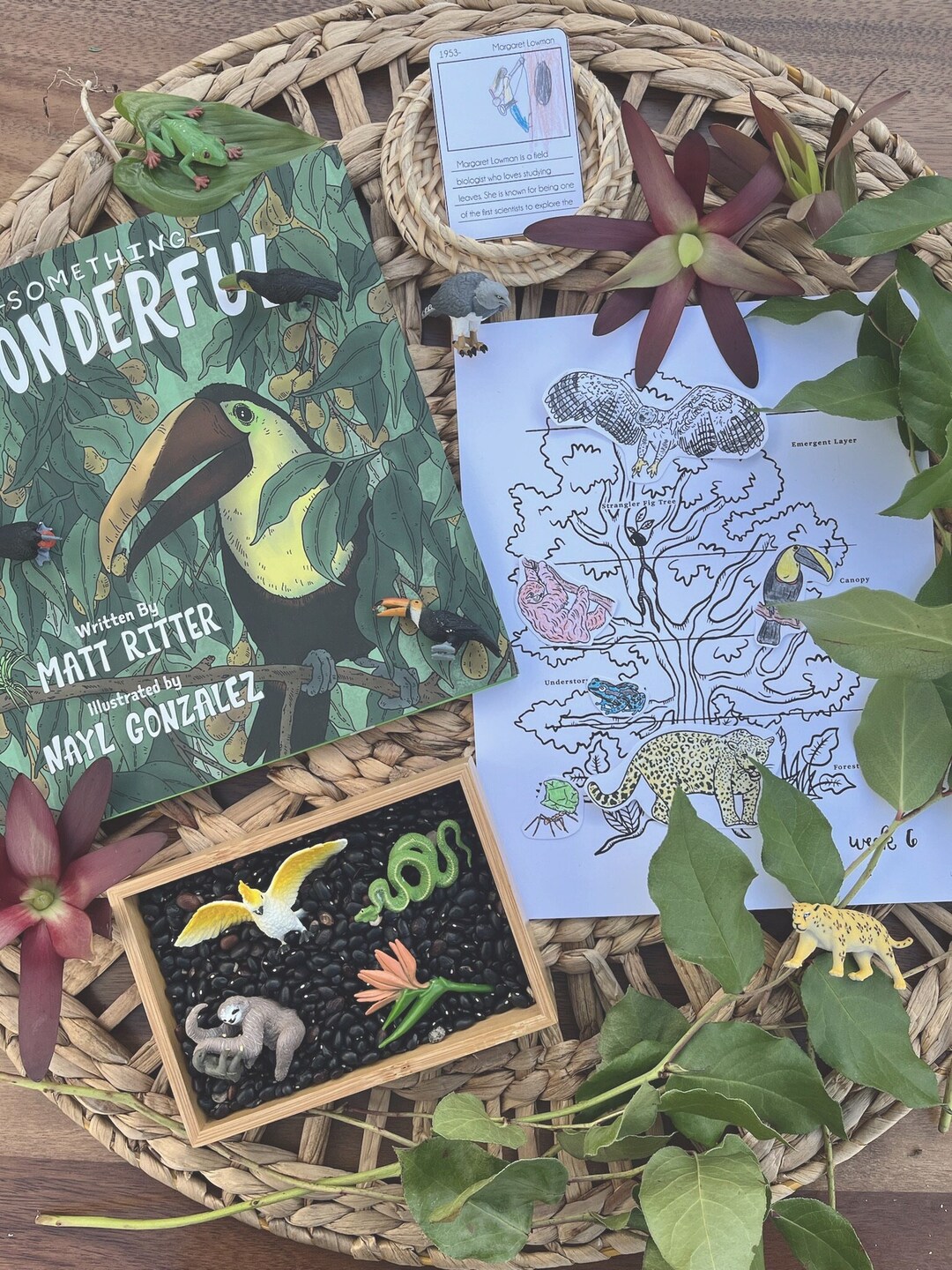 Tropical Rainforests and Margaret Lowman - Etsy