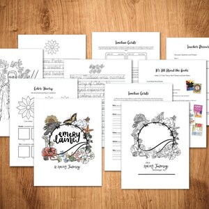 Color Theory, Henri Matisse and Josef Albers Unit Study - Etsy