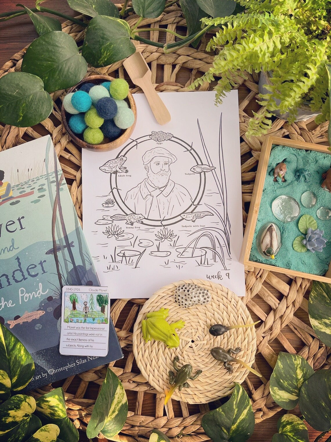 Ponds, Frogs and Claude Monet Unit Study - Etsy Canada