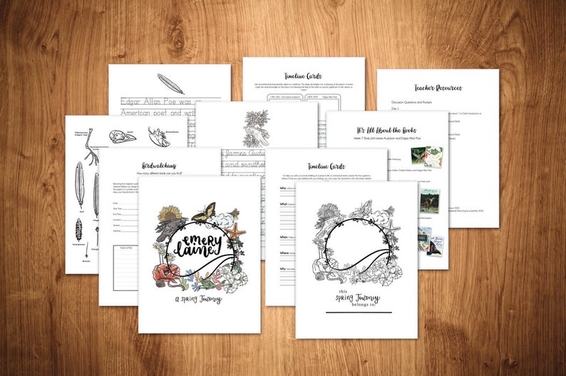 Birds, John James Audubon and Edgar Allan Poe Unit Study - Etsy