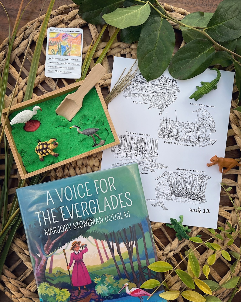 Wetlands, the Everglades and Marjory Stoneman Douglas Unit Study - Etsy