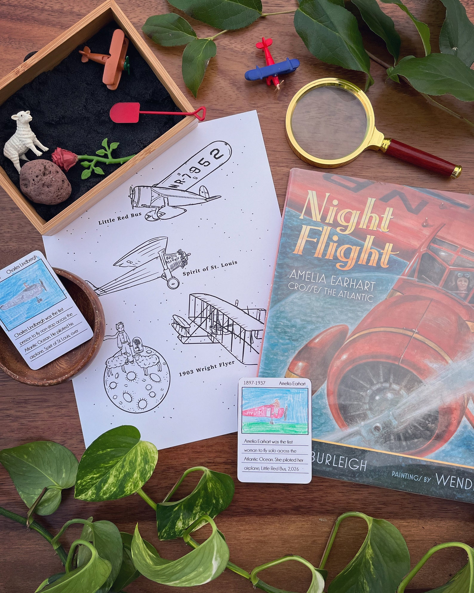 Aviation, Amelia Earhart and Antoine De Saint-exupery Unit Study - Etsy