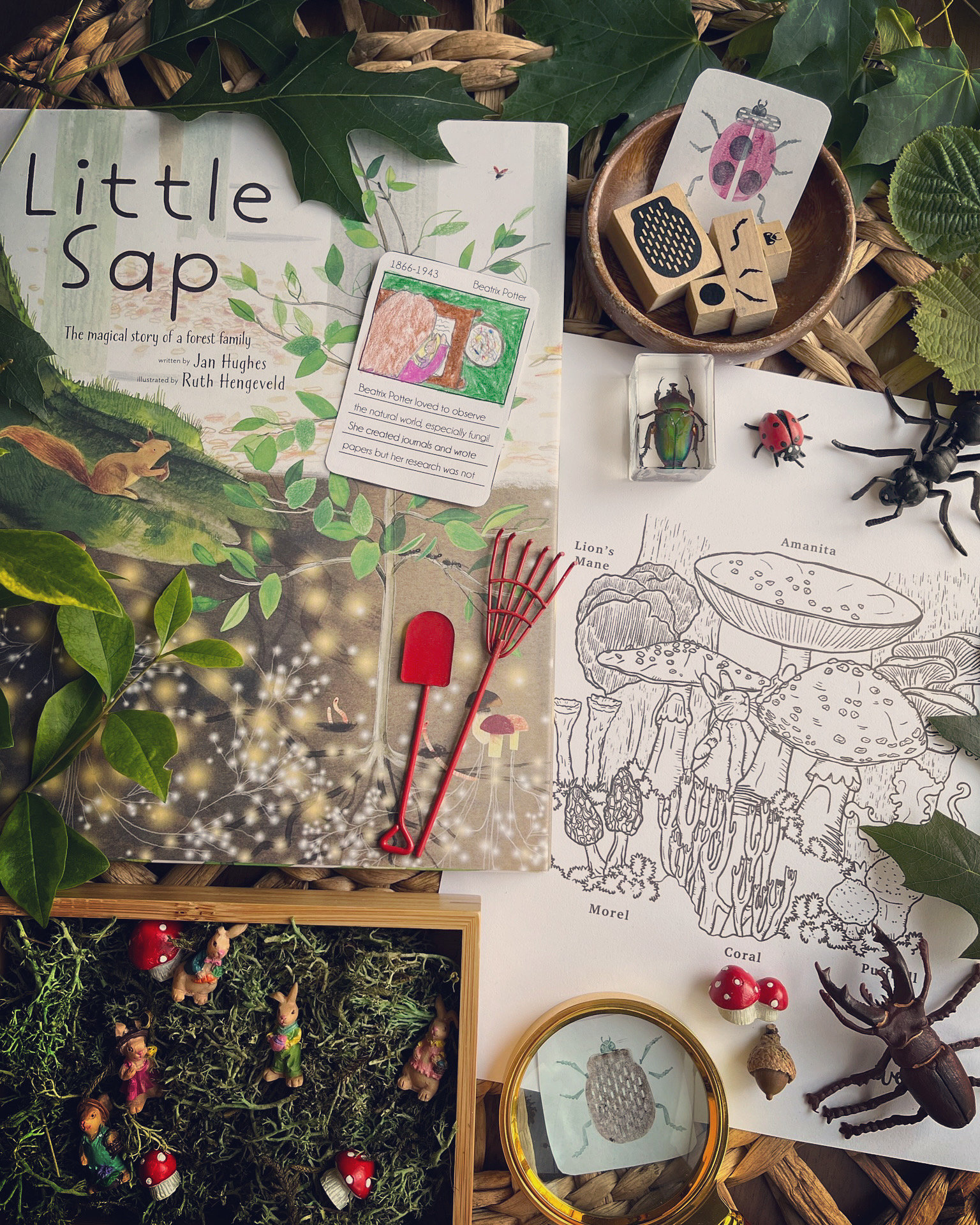 Forest Food Chains, Fungi and Beatrix Potter Unit Study - Etsy