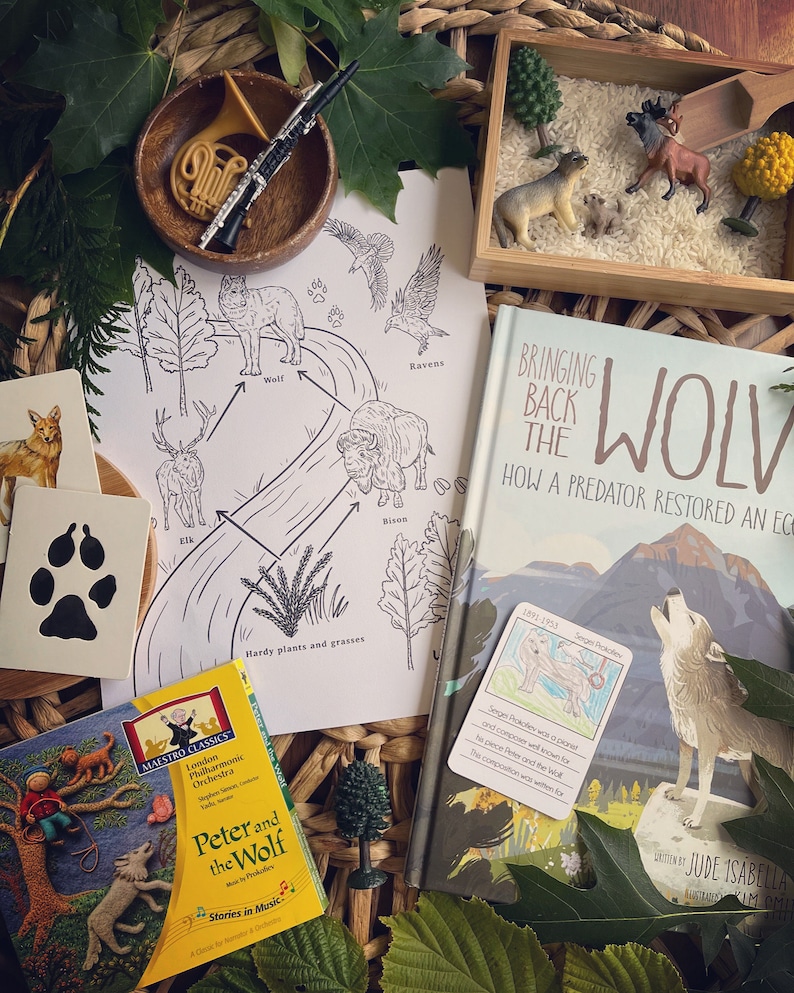 Wolves, Animal Tracks and Peter and the Wolf Unit Study - Etsy