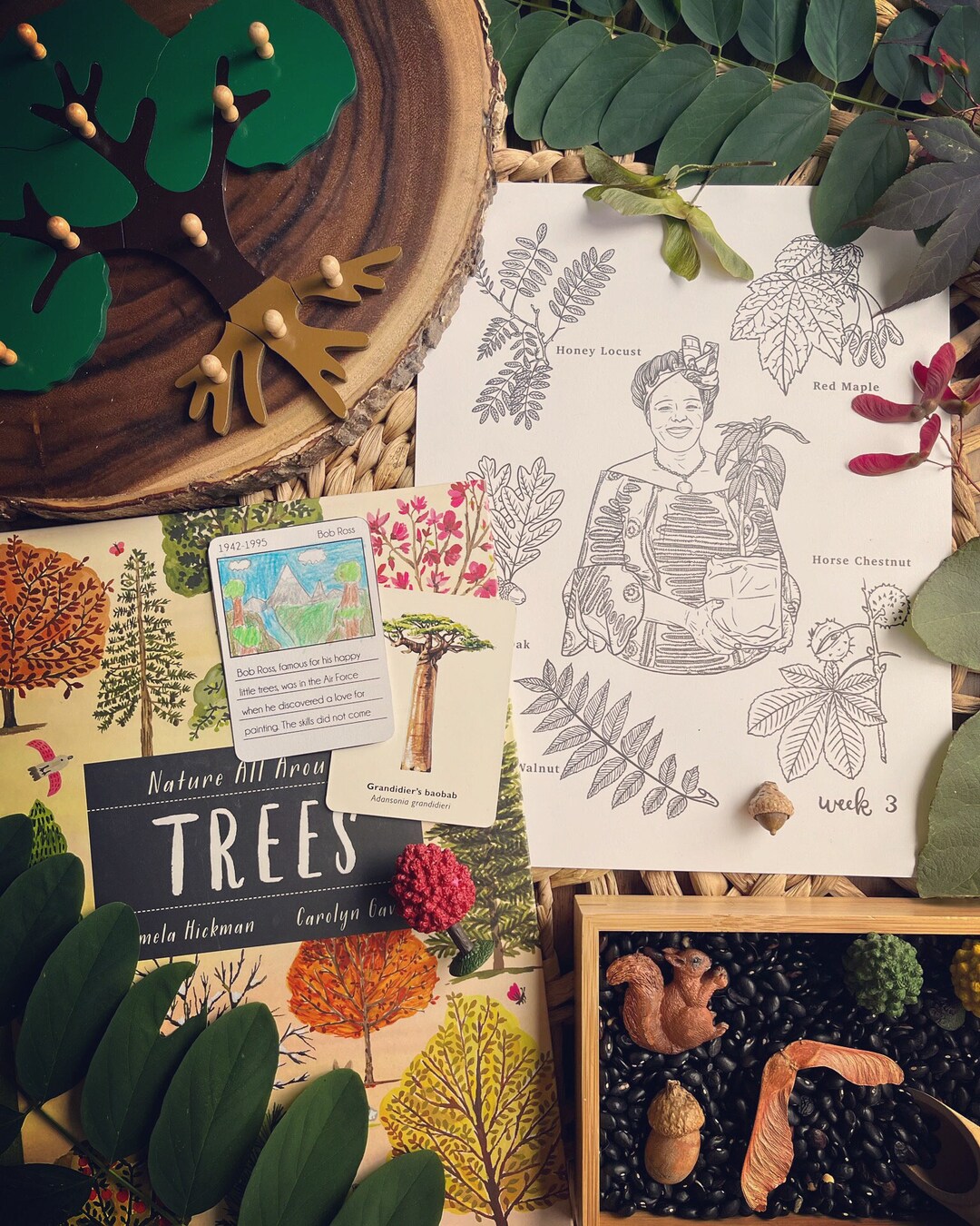 Trees, Wangari Maathai and Bob Ross Unit Study - Etsy