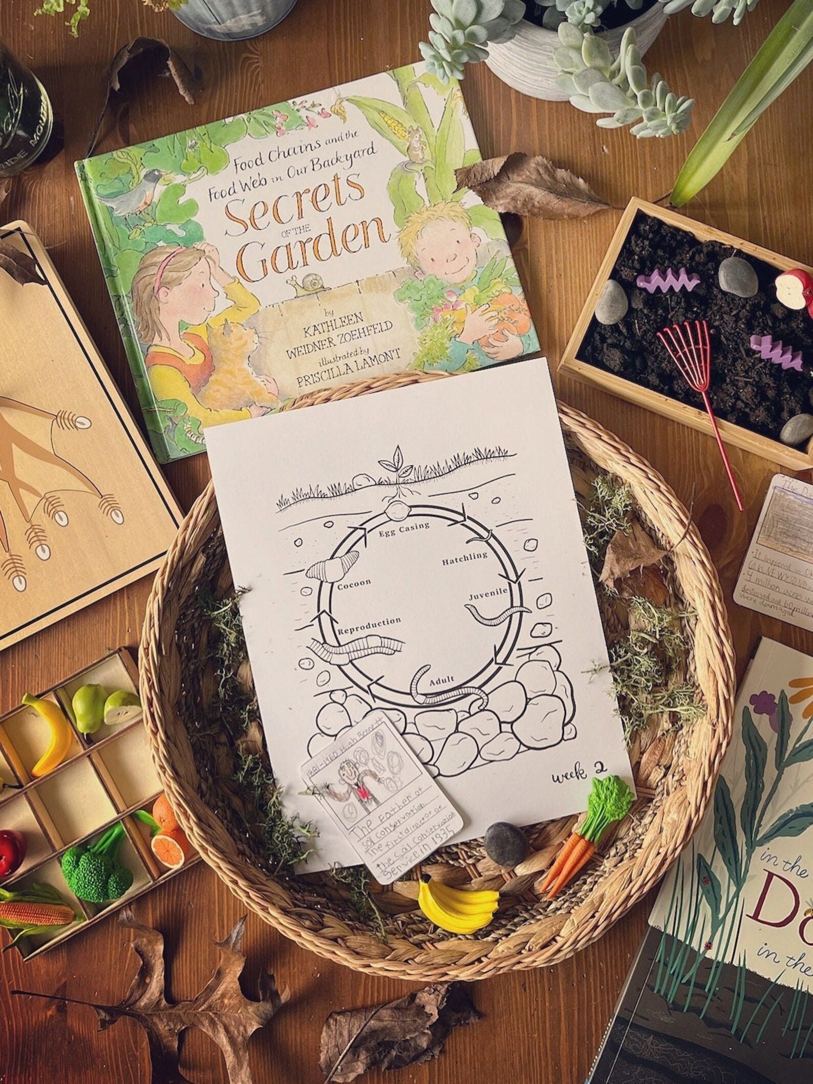 Soil, Erosion, Worms and Compost Unit Study - Etsy