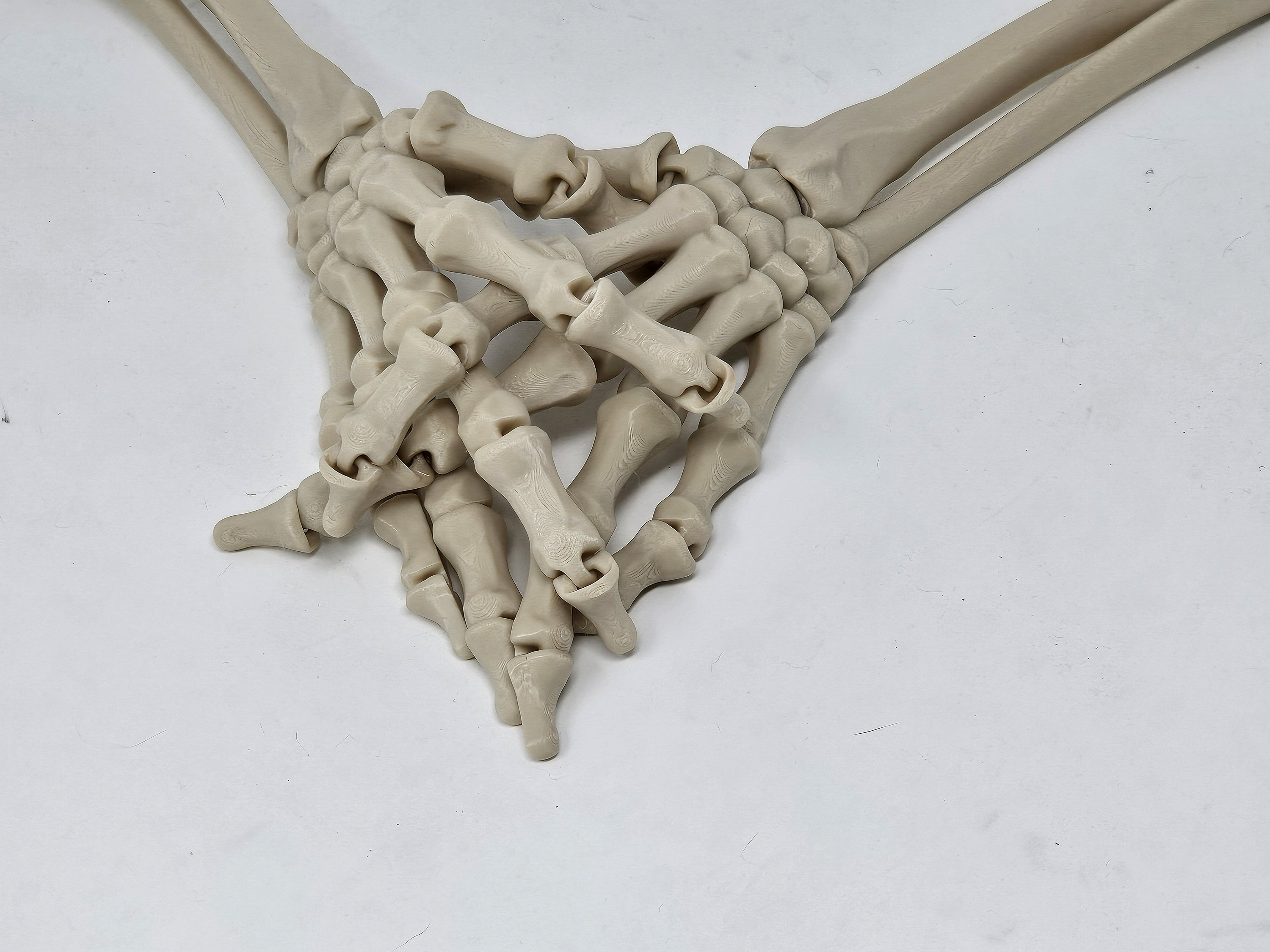 3d Printed Left or Right Skeleton Hand - Etsy