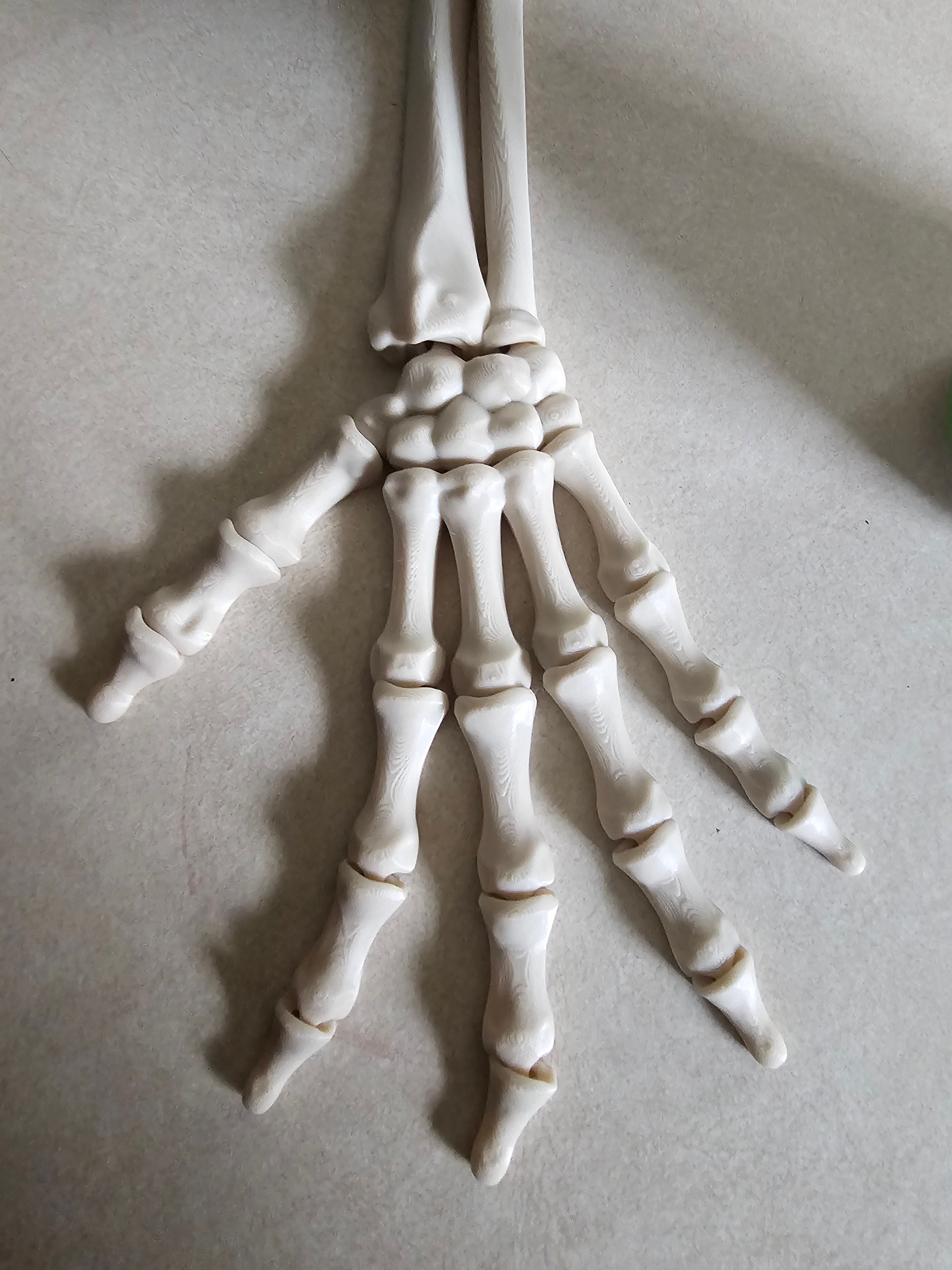3d Printed Left or Right Skeleton Hand - Etsy