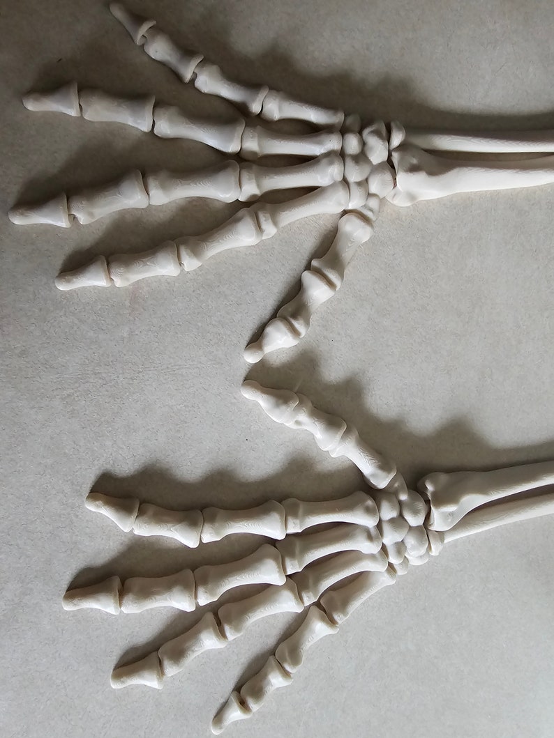 3d Printed Left or Right Skeleton Hand - Etsy