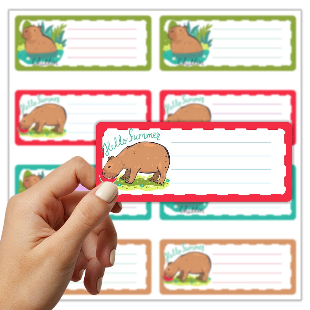 Stickers for Notebooks, Books, Capybaras, Cute Patterns - Etsy