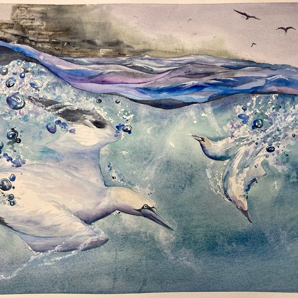 Gannets - Etsy