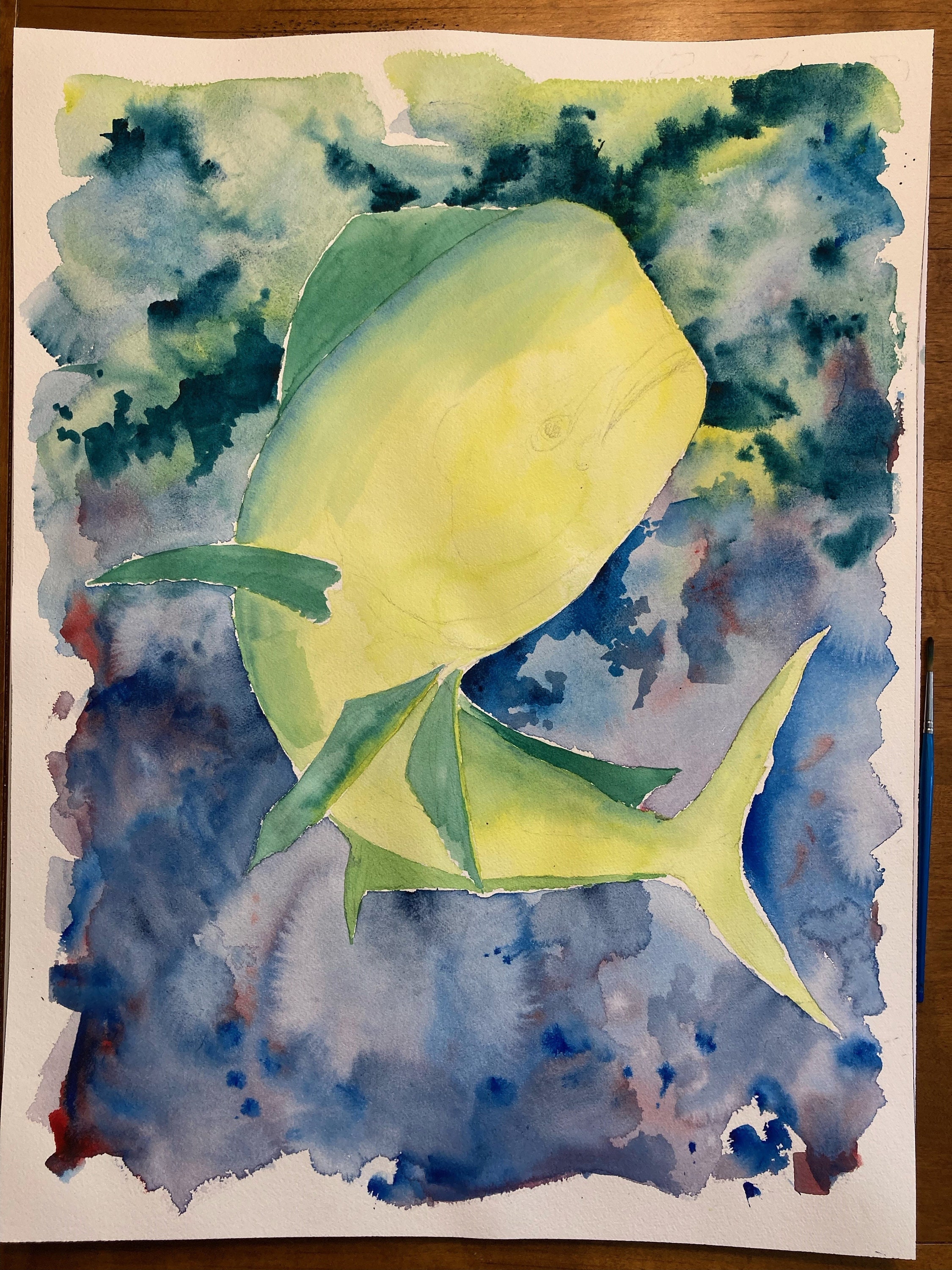 Abstract Mahi Mahi Portrait Original Watercolor Giclée Prints by Kyle ...