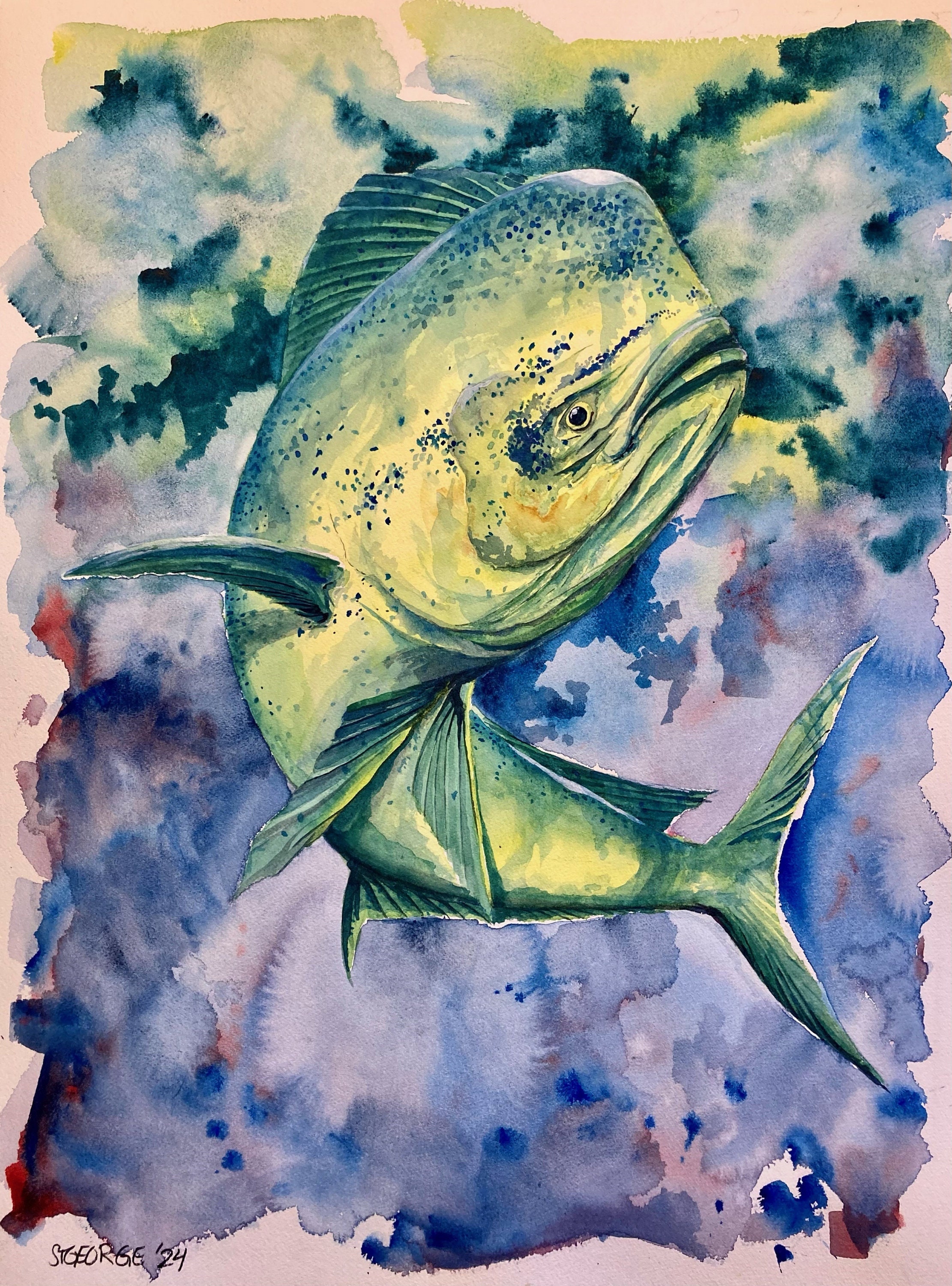 Abstract Mahi Mahi Portrait Original Watercolor Giclée Prints by Kyle ...
