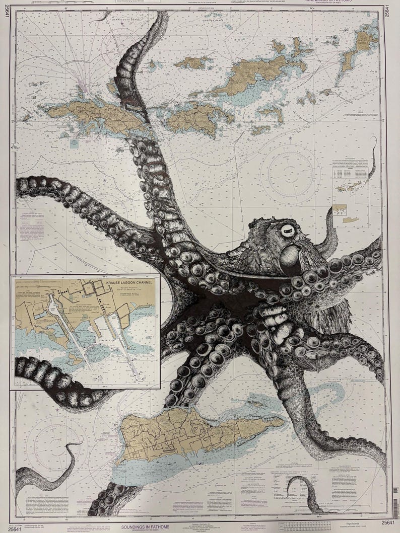 Virgin Islands Nautical Chart Octopus Art: Ink Drawing - Etsy
