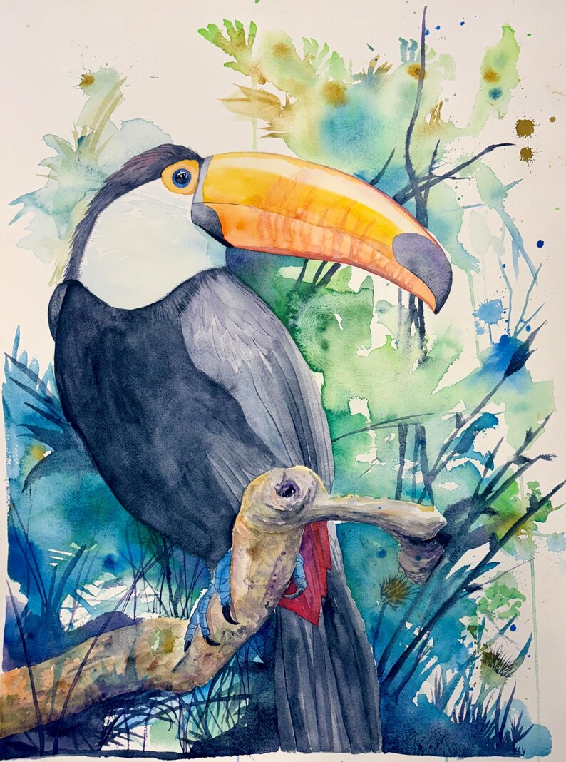 Toco Toucan Watercolor Print: Rainforest Bird Art by Kyle St. George - Etsy