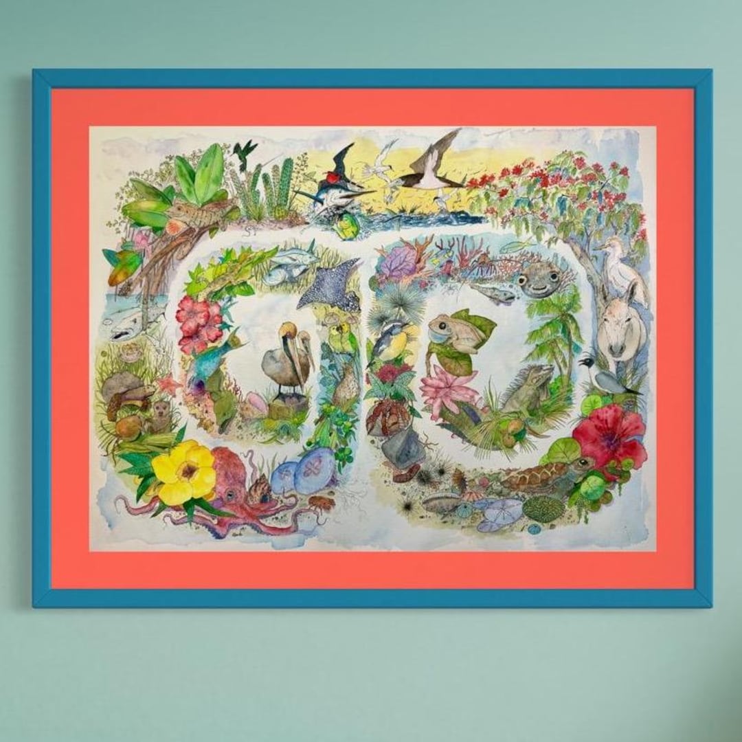 St. John USVI Art: Petroglyph Collage, Virgin Islands Animals ...