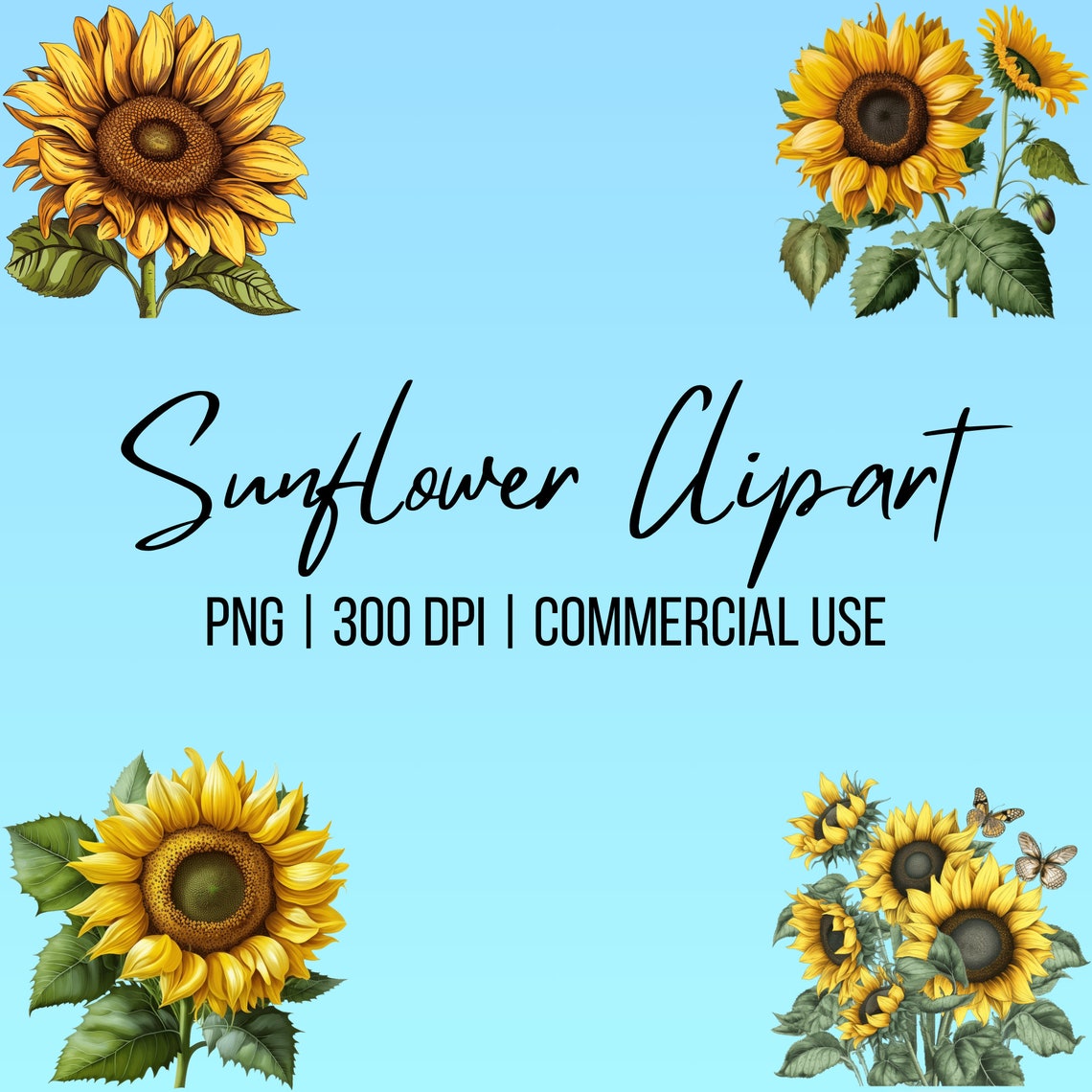 Sunflower Clipart Sunflower Bundle, Sunflower SVG, Sunflower PNG ...
