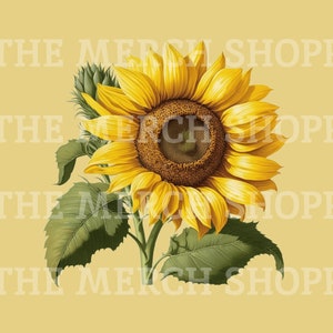 Sunflower Clipart Sunflower Bundle, Sunflower SVG, Sunflower PNG ...