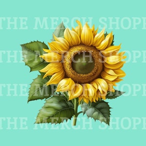 Sunflower Clipart Sunflower Bundle, Sunflower SVG, Sunflower PNG ...