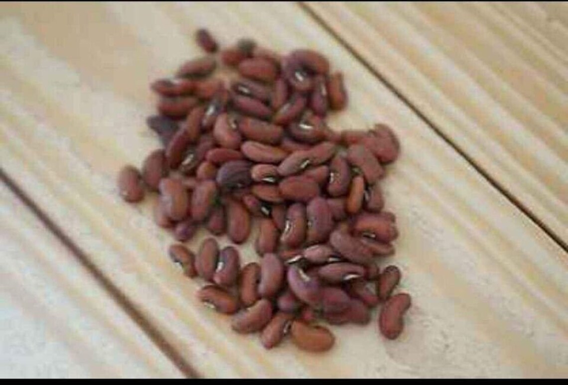 Chinese Long Beans Seeds Asparagus Bean Seeds NON-GMO Fresh Organic - Etsy