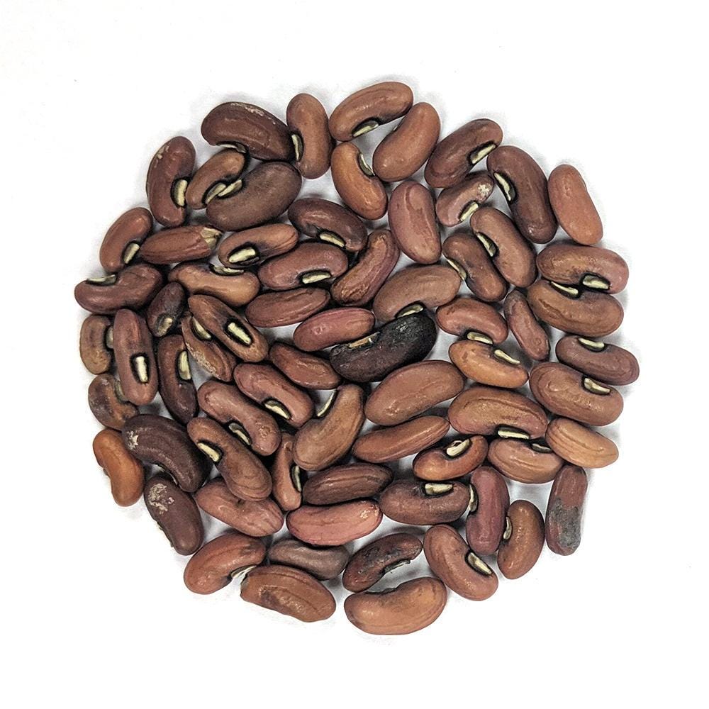 Chinese Long Beans Seeds | Asparagus Bean Seeds | NON-GMO | Fresh ...