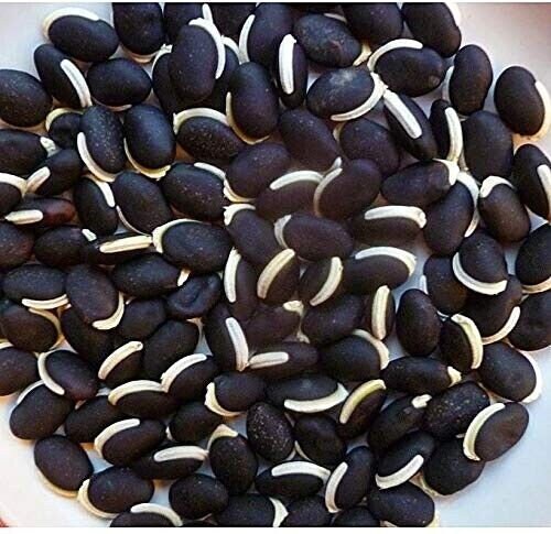 Asian Bean Seeds Packet | Hyacinth Seed | Fresh and Organic | Free ...