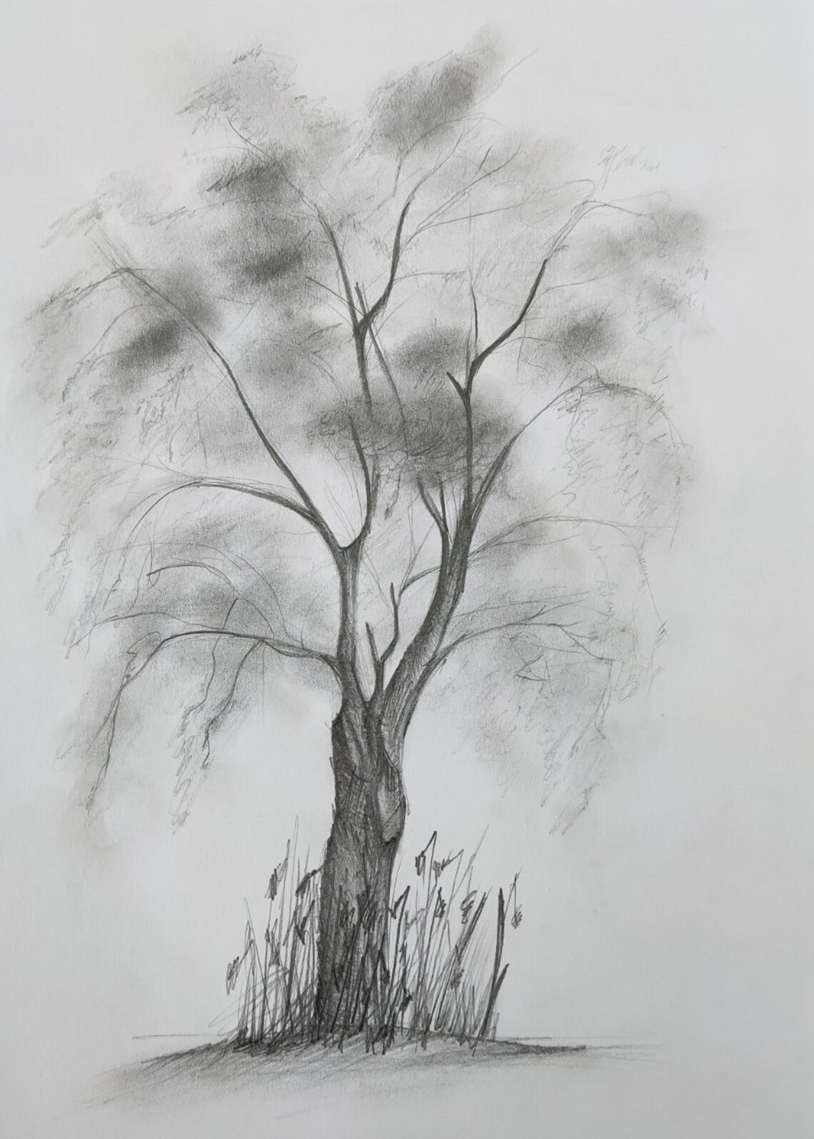 Fine Art Tree Pencil Drawing, Handmade Original Sketch, Realistic ...
