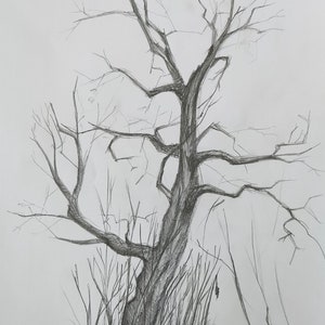 Fine Art Tree Pencil Drawing, Handmade Original Sketch, Realistic ...