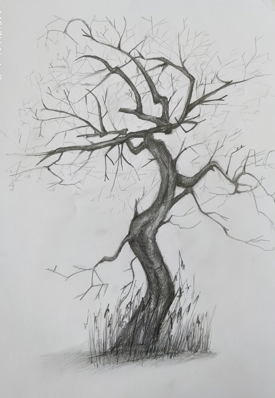 Nature art pencil drawings store