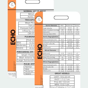 Ultrasound Values Badge Buddy (echo) - Etsy