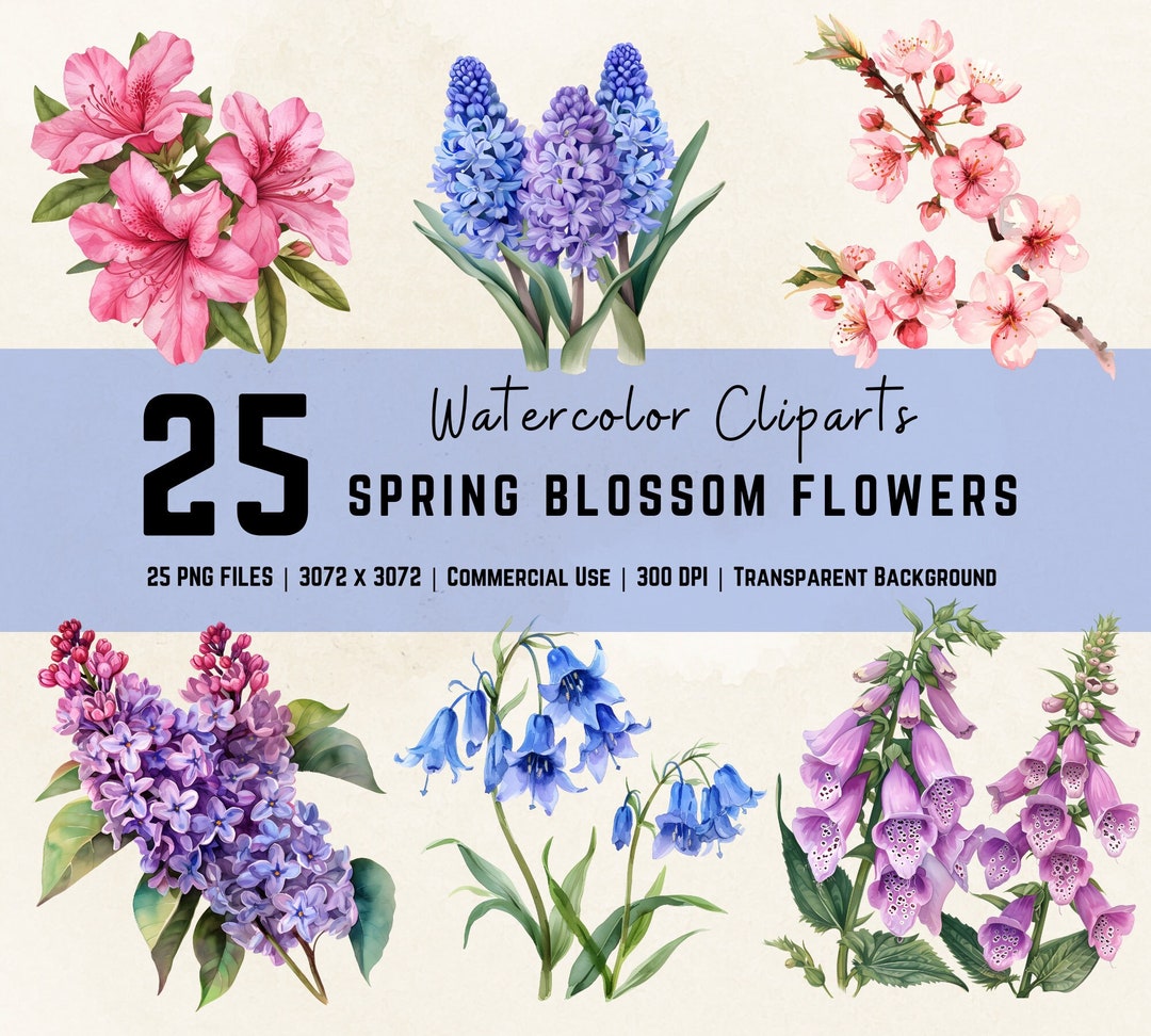 Spring Blossom Flowers Clipart Bundle Floral Graphics Peonies PNG ...