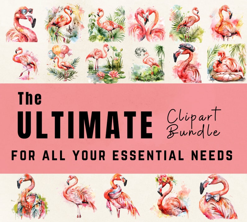 Flamingos Watercolor Clipart Bundle: Cute Pink Flamingo Designs ...