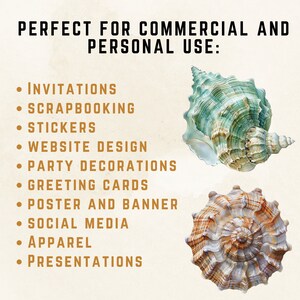 Watercolor Seashell Clipart Seashell Clipart Seashell PNG Seashell Art ...