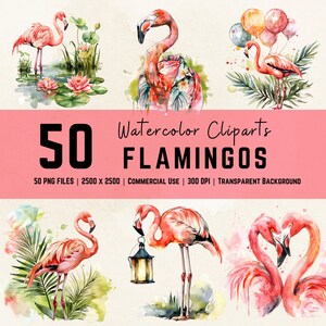 Flamingos Watercolor Clipart Bundle: Cute Pink Flamingo Designs ...