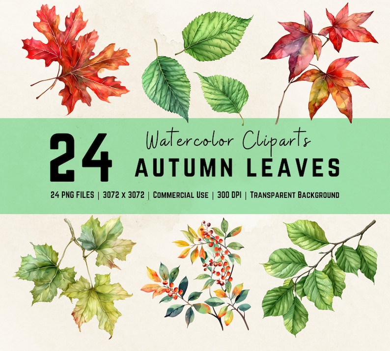 Autumn Leaves Clipart Bundle Fall Foliage Harvest Autumn Tree Leaves ...