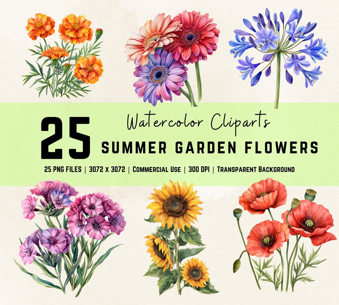 Summer Flowers Cliparts Garden Floral Graphics Bundle Agapanthus Flower ...