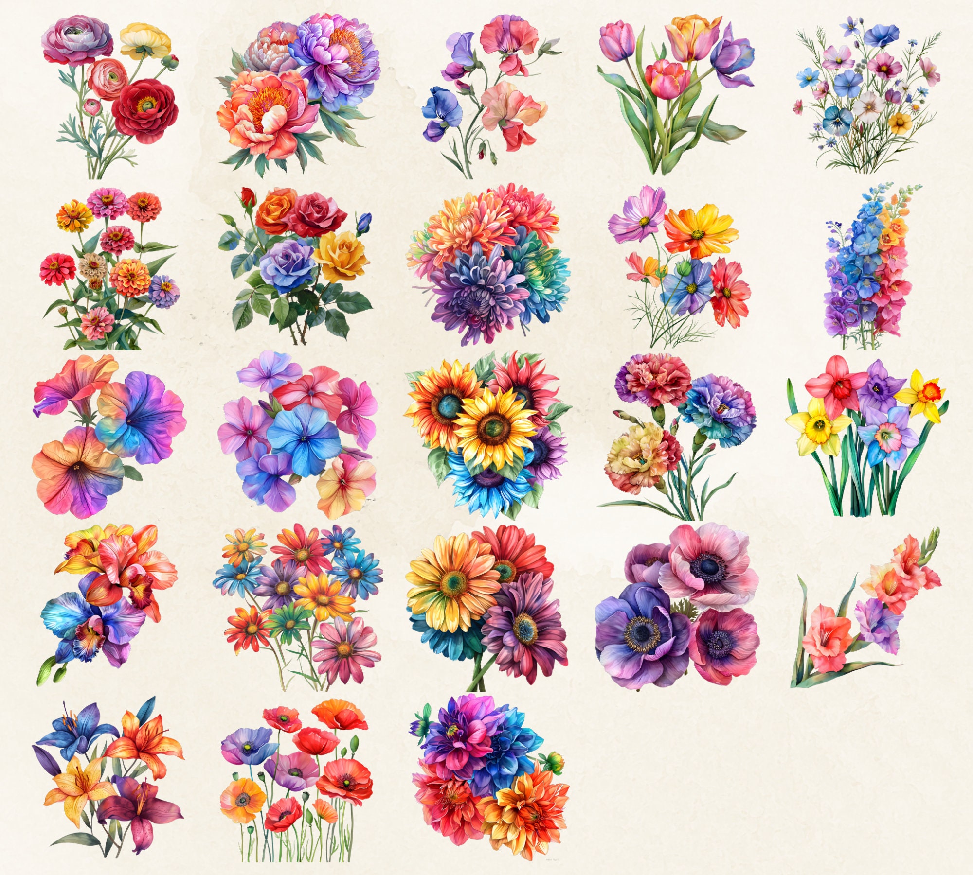 Rainbow Flowers Clipart Bundle Colorful Floral Design Colorful Flower ...