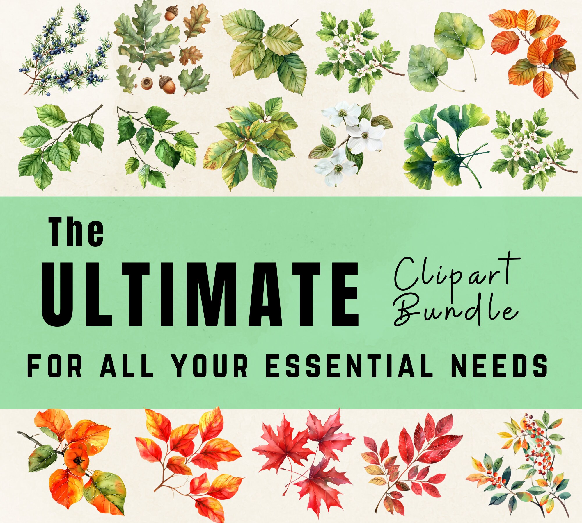 Autumn Leaves Clipart Bundle Fall Foliage Harvest Autumn Tree Leaves ...