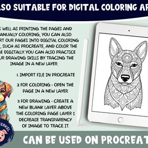 Mandala Dogs Lineart Coloring Book Animal Coloring Pages Dog Colouring ...