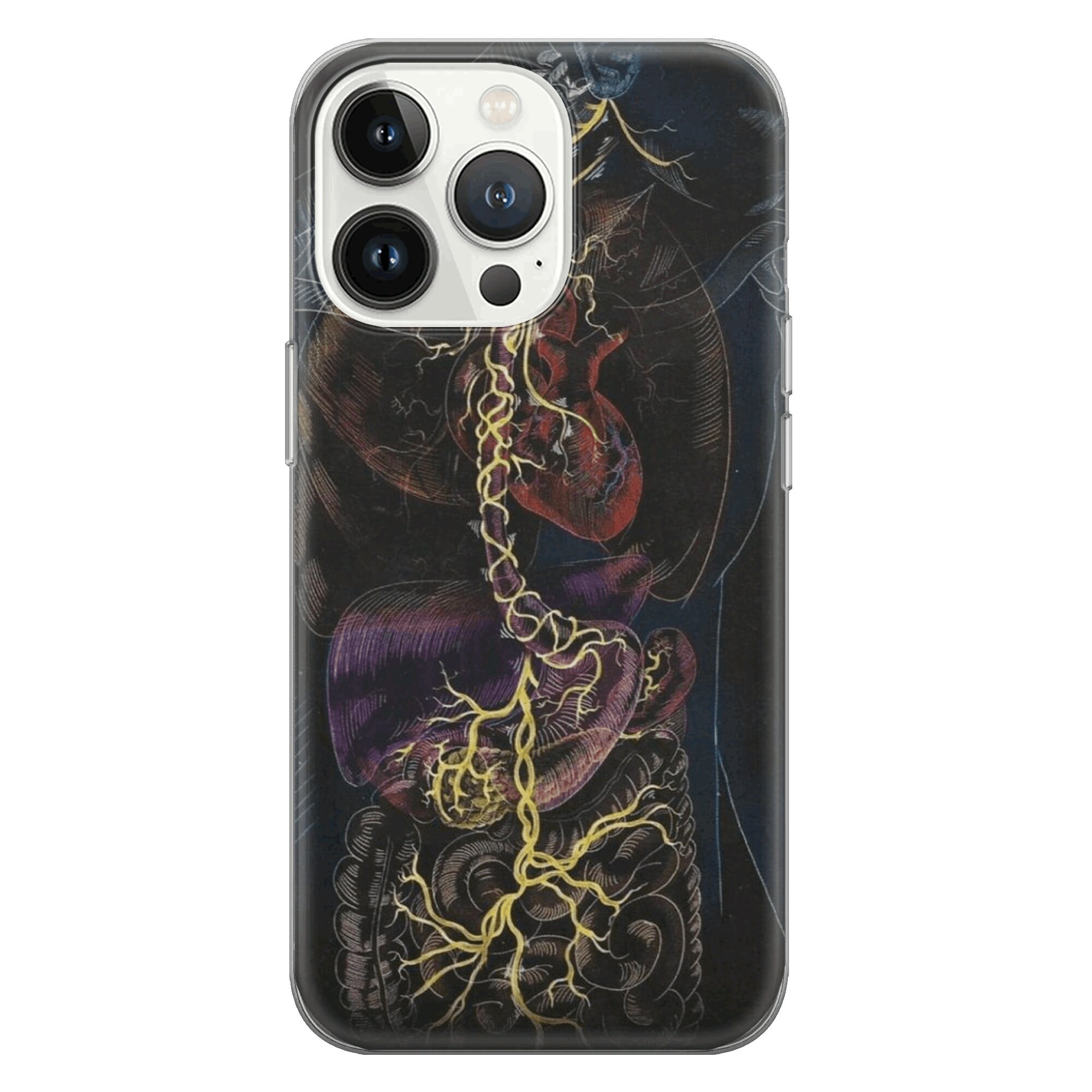 Medical Phone Case Anatomy Cover for iPhone 14 13 12 Pro 11 XR - Etsy