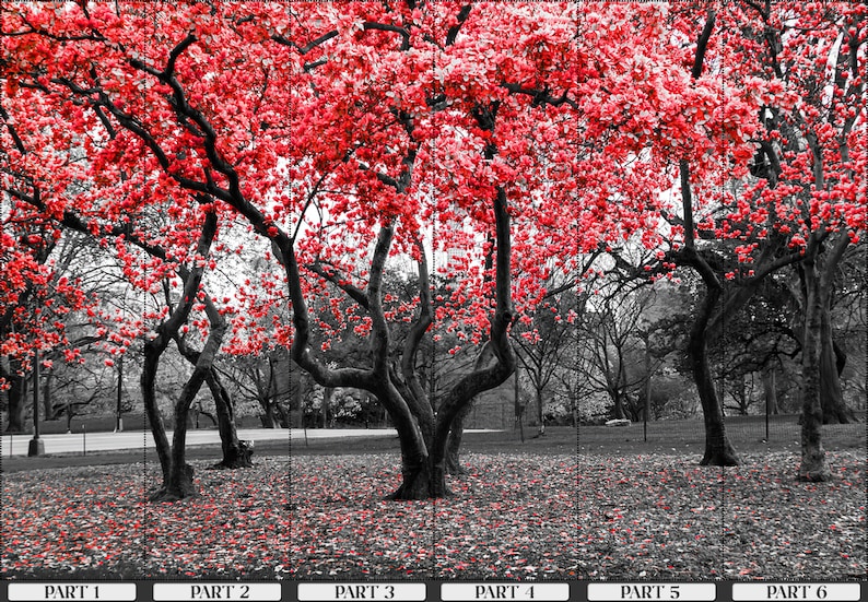 Red Flower Tree Wallpaper Mural - Removable Vinyl Wall Decor - Etsy