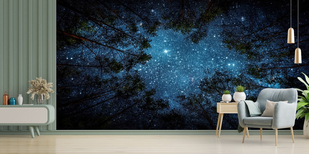 Starry Night Sky Wallpaper Mural: Peel and Stick Wall Decor - Etsy