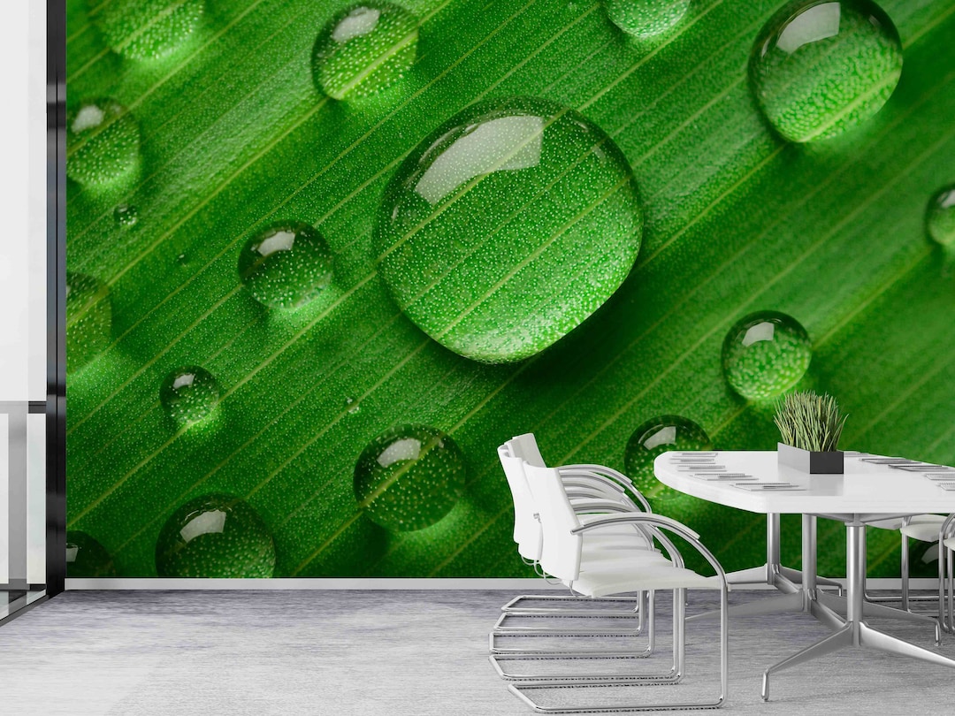 Green Wall Paper, Accent Wall, Green Digital Paper, Farmhouse Wall ...