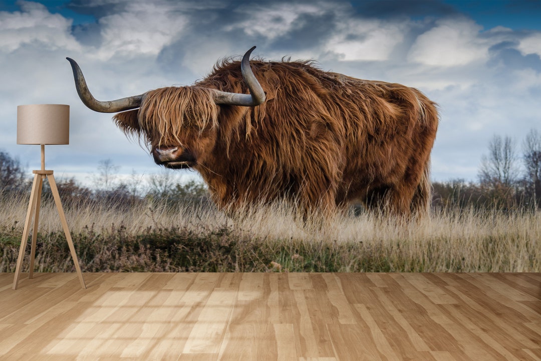 Bull Wall Decor, Wiil Buld Wallpaper, Buffalo Wall Paper, Animal ...