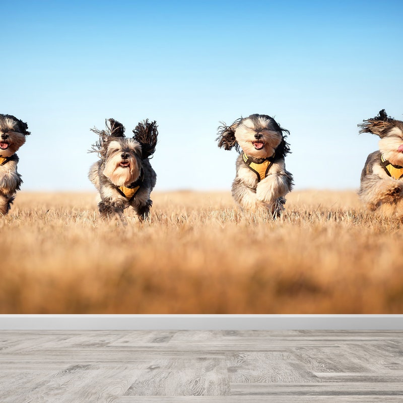 Dog Wallpaper Border - Etsy