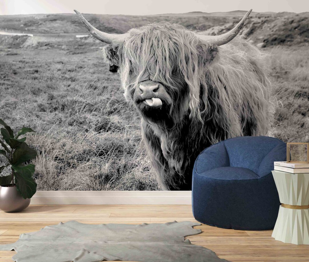 Bison Wallpaper, Custom Wall Paper, Scottish Highland Wall Paper ...