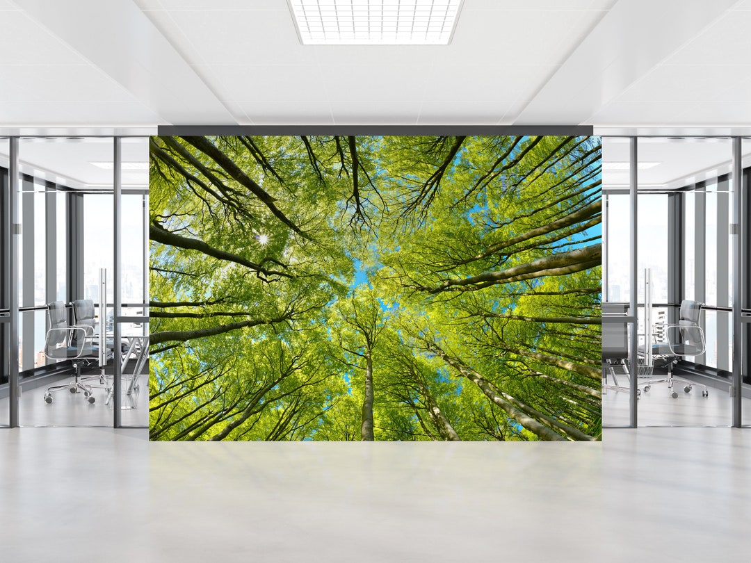 Bright Wallpaper, View Wall Art, Tree View Wallpaper, Wall Decorations ...