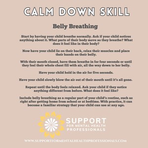 Sticker Emotion Feelings Wheel and Emotions Regulation Information ...