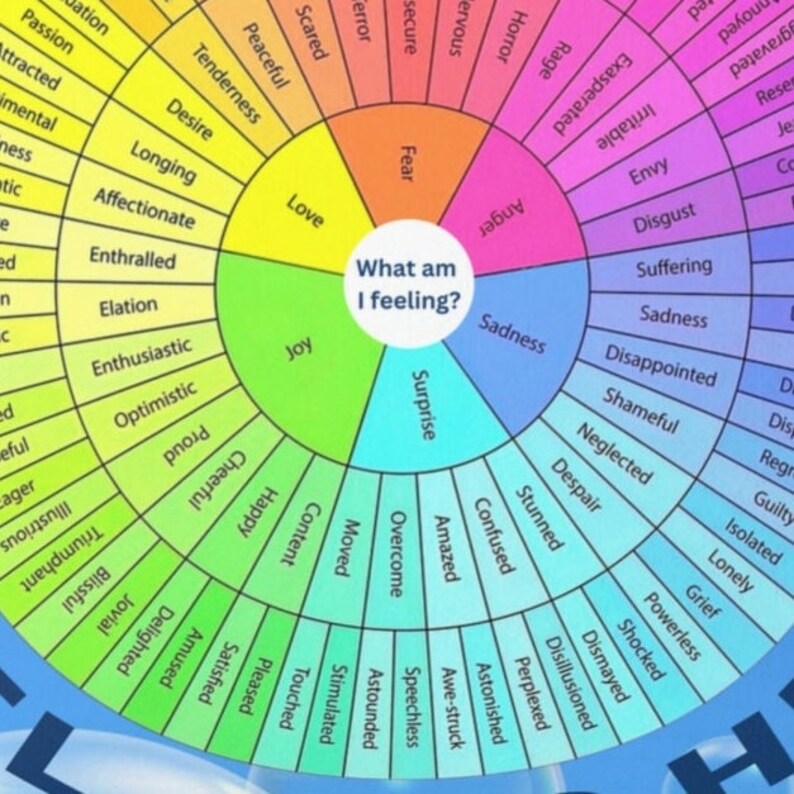 Emotions Wheel on the Front and Emotional Regulation Info on the Back ...